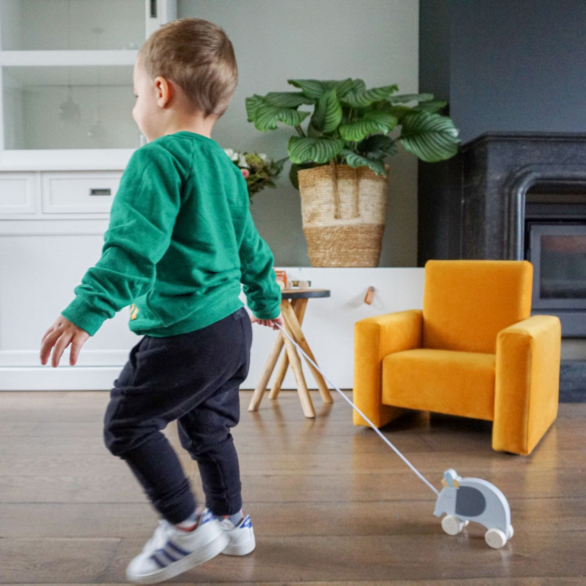 פיל נגרר עם חוט על גלגלים – Choopy